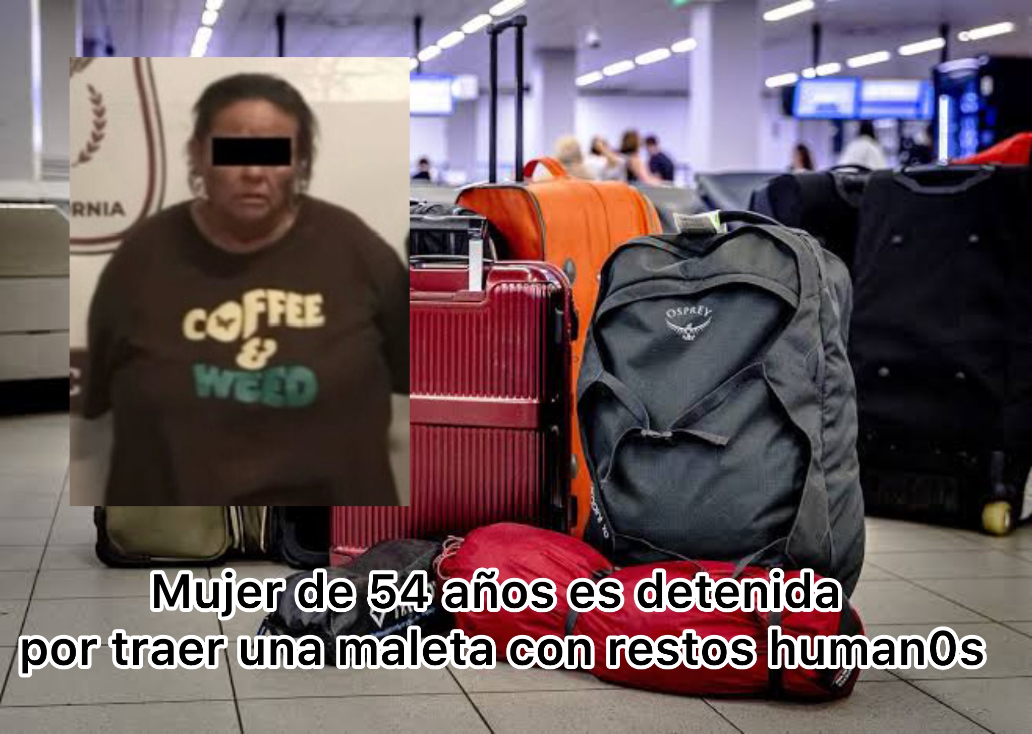🧳 Mujer de 54 años es detenida por traer una maleta con restos humanos ...